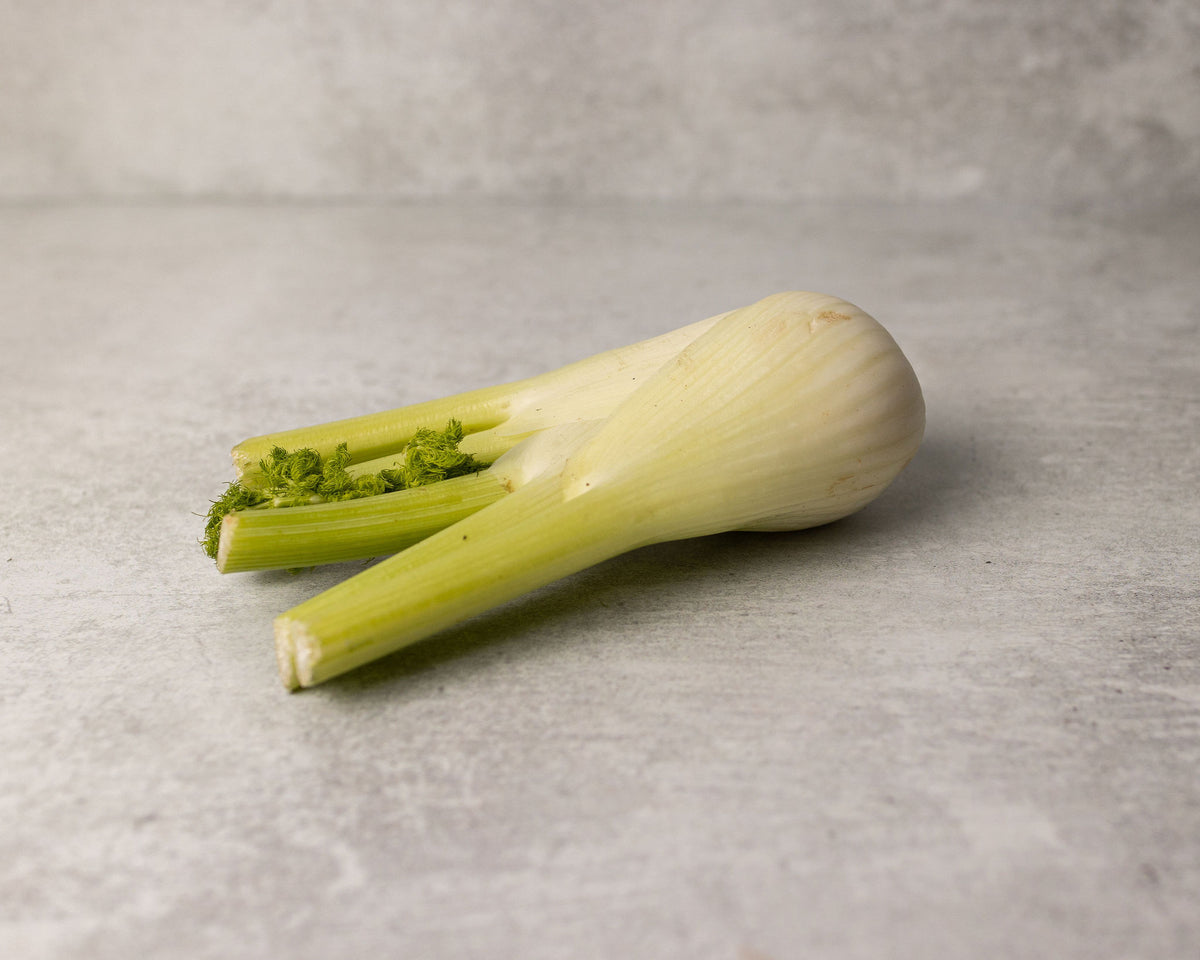 Fennel - Each – Fresh Farm Deliveries